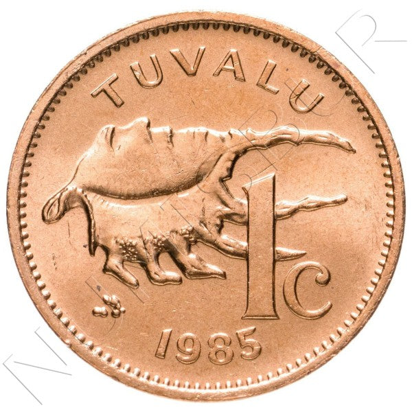 1 cent TUVALU 1985 - Lambis shell – NUMISBUR